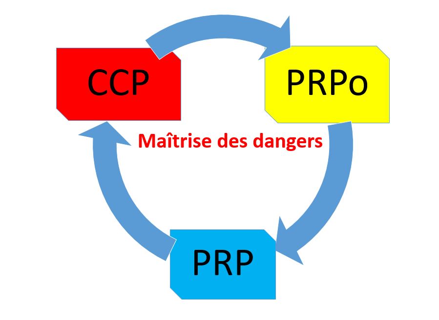 Les Diff rences Fondamentales Entre CCP PRPo Et PRP Perfect Conseil